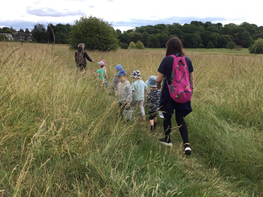 Forest School and outdoor learning – Southdown Nursery and Forest School